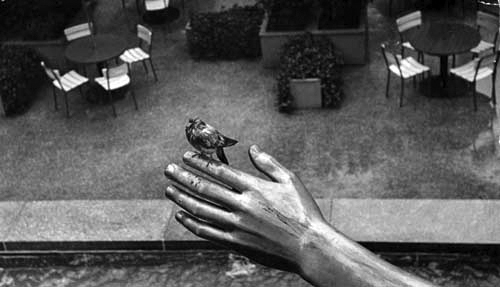 A hand holding a bird